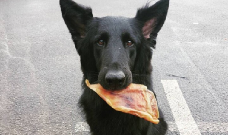 Rural King - Bonita Springs, FL | America's Farm & Home Store